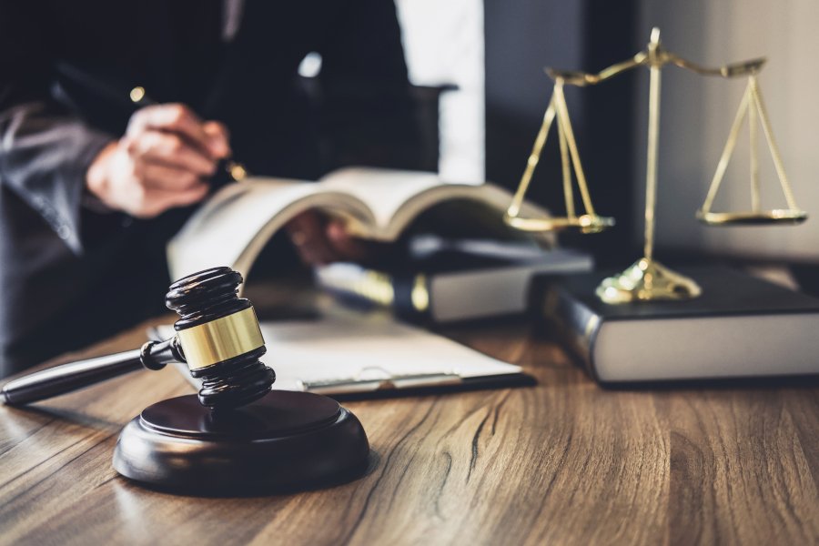 Society/Law Explained: How Society/Law Shapes Our Rights, Rules, and ...